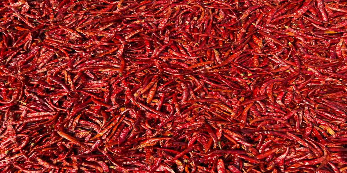 Red Dry Chillies: Types, Benefits & Uses in Indian Cooking